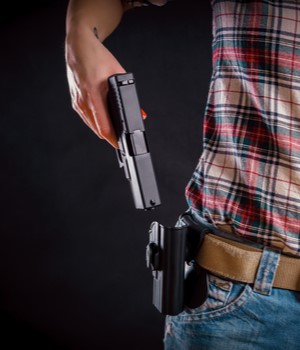 Background Checks | Citizen Voices® Report | Citizens Count