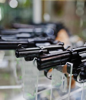 Gun Waiting Period | Citizen Voices® Report | Citizens Count